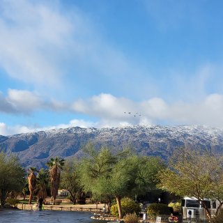 The Springs at Borrego RV Resort and Golf Course - Borrego Springs ...
